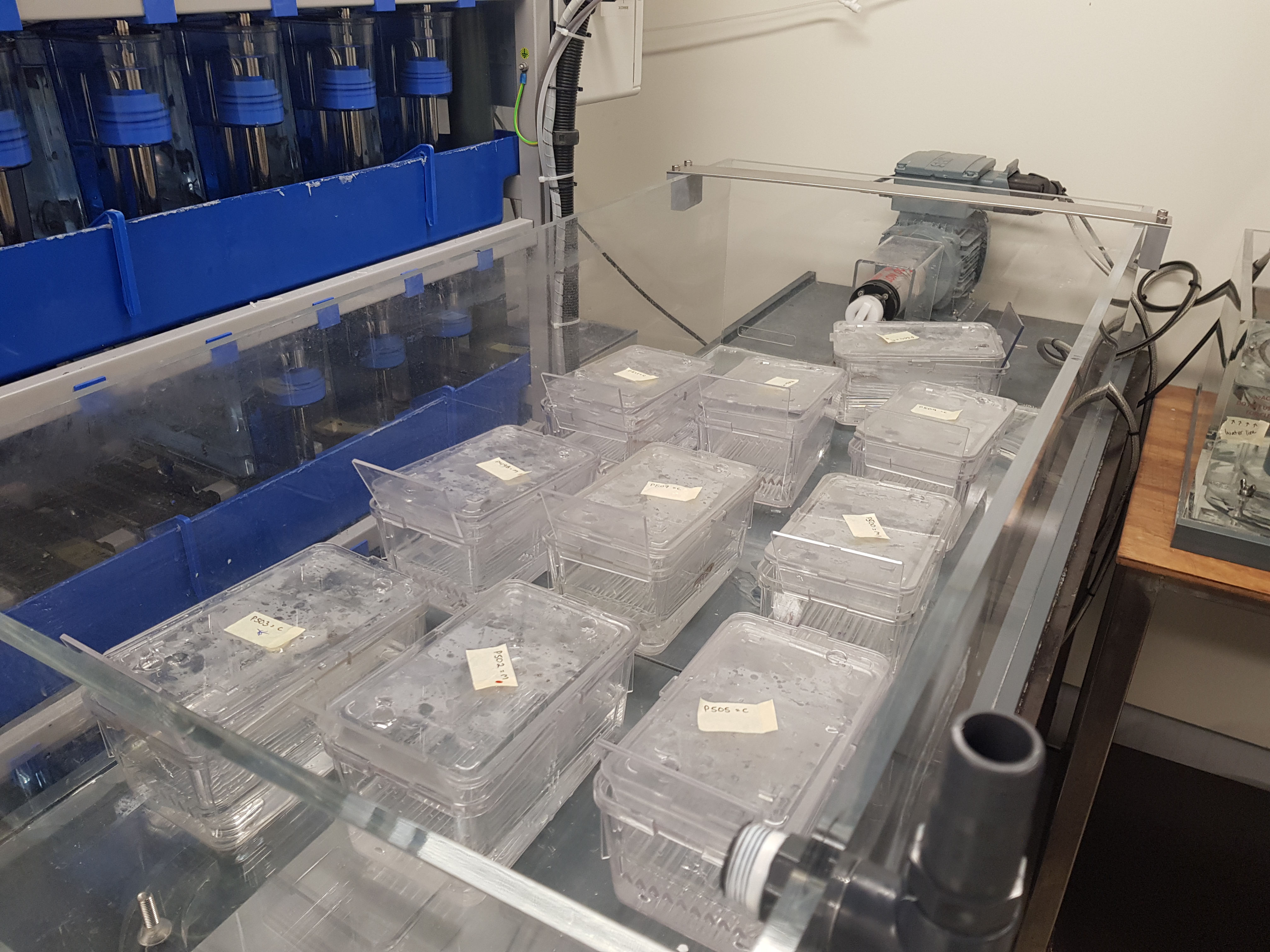 Lab News – McGuigan Lab